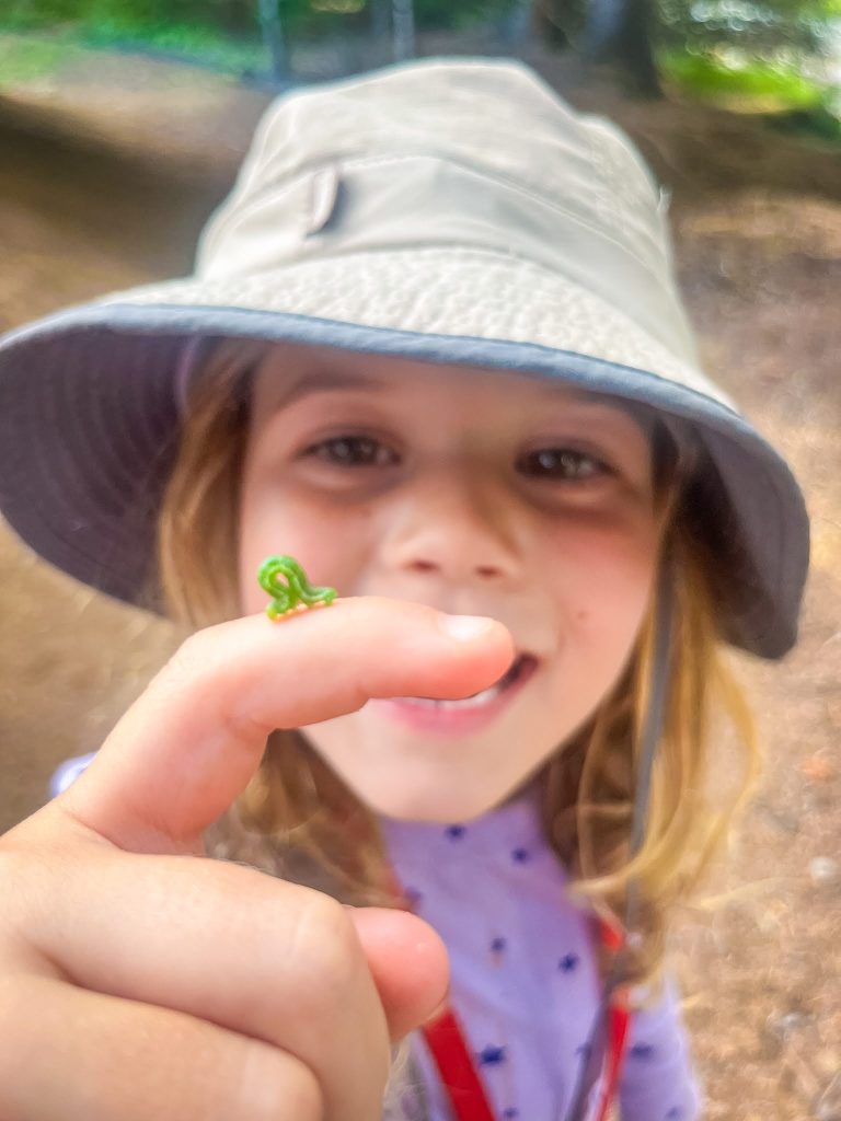 Photo Recap 2023: Day Camp - Keystone Science School