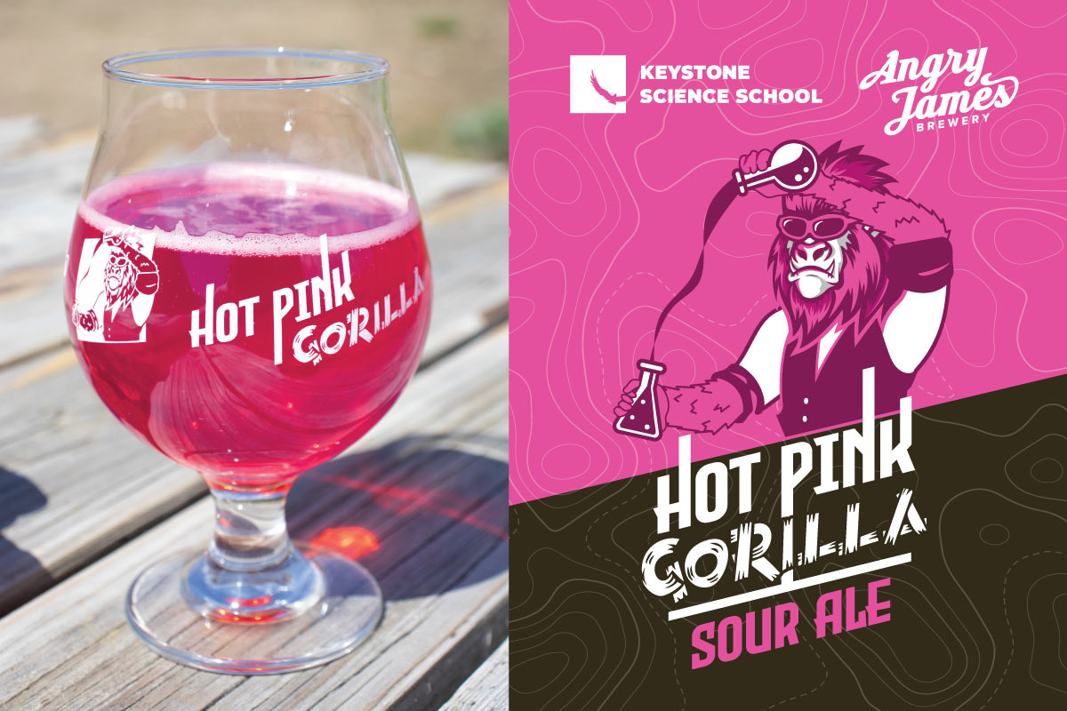 Angry James Hot Pink Gorilla Sour Ale Keystone Science School HPG Sour ...